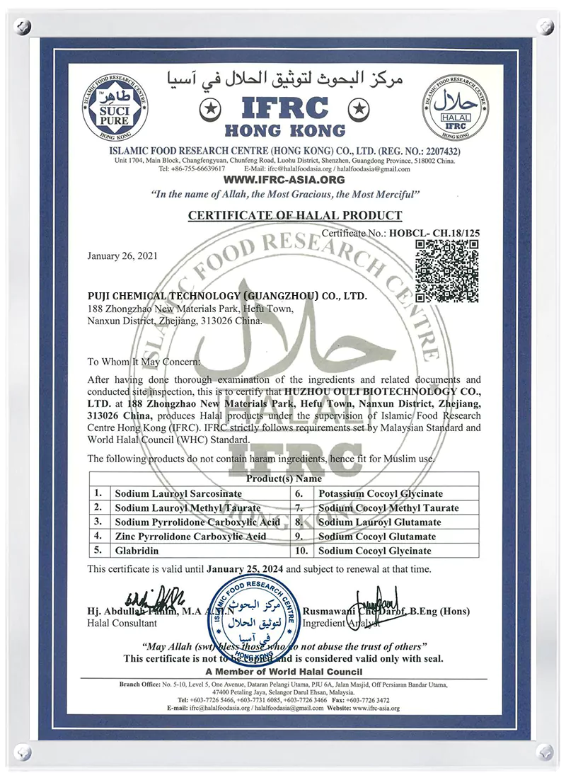 About - Puji Chemical Technology (Guangzhou) Co., Ltd